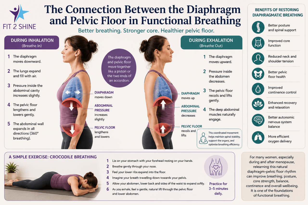 Improve Your Diaphragm Breathing: Better Pelvic Floor Health, Core ...
